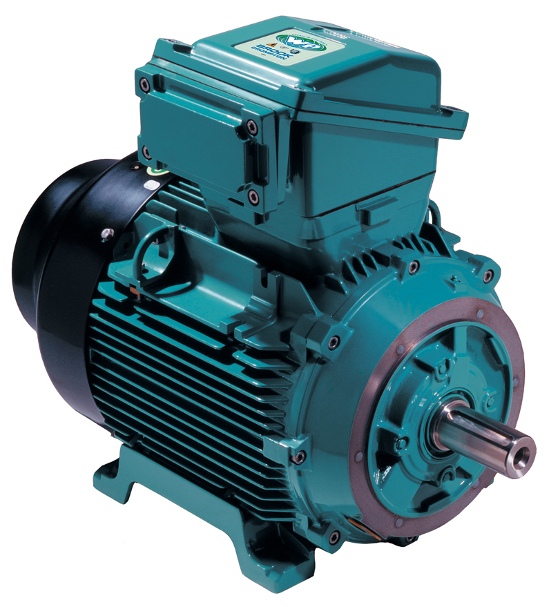 Products – Brook Crompton | Distributor of electric motors